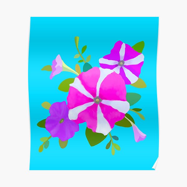 "Petunia " Poster for Sale by fernandobos | Redbubble