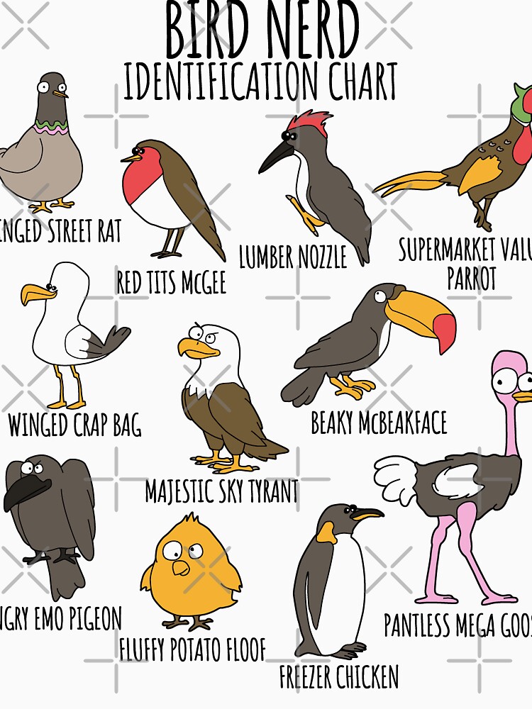 "Bird Watcher Funny Identification Chart for Bird Lovers ...
