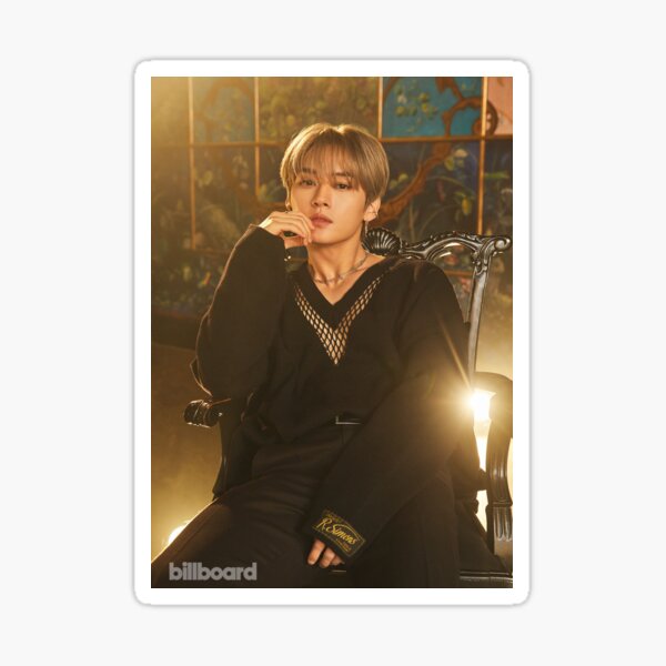 "Lee Know Maxident STRAY KIDS billboards SKZ LOGO kpop circle ...