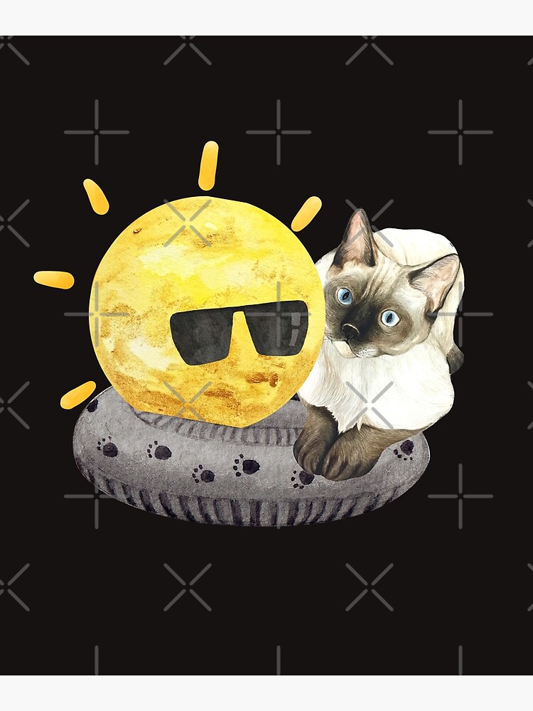 Lámina fotográfica «Gato viendo la puesta de sol | gato galaxia| gato ...