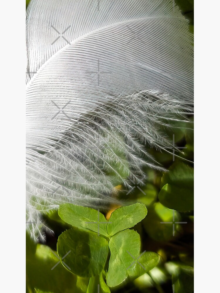"Lucky and Blessed #1 - Dove Feather With Four Leaf Clover" Poster for ...