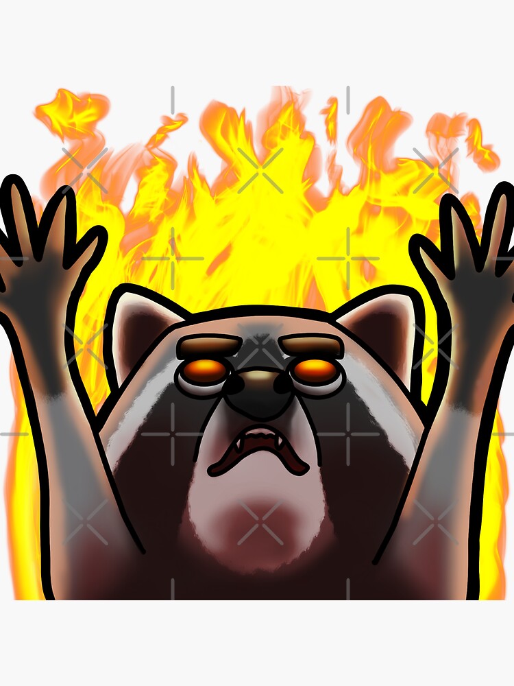 "Chaos and FIRE Raccoon" Sticker for Sale by NightCritter | Redbubble