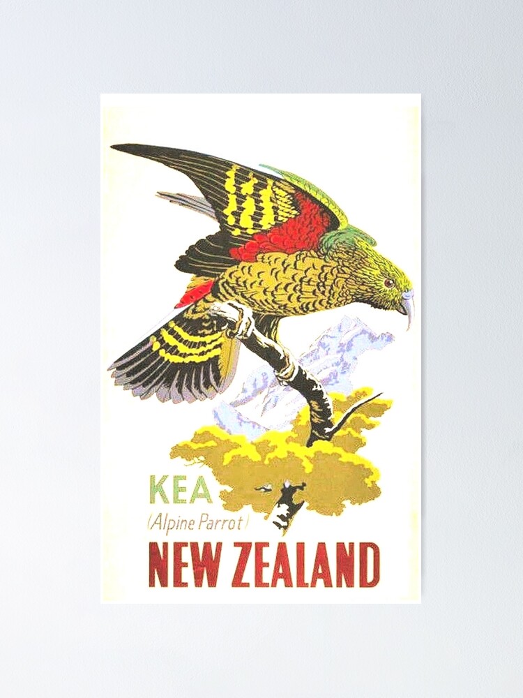 "New Zealand Vintage Travel Poster | Old Kiwis Tourism Art Deco | Kea ...