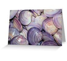 "Purple Shells Background" by dave1276 | Redbubble
