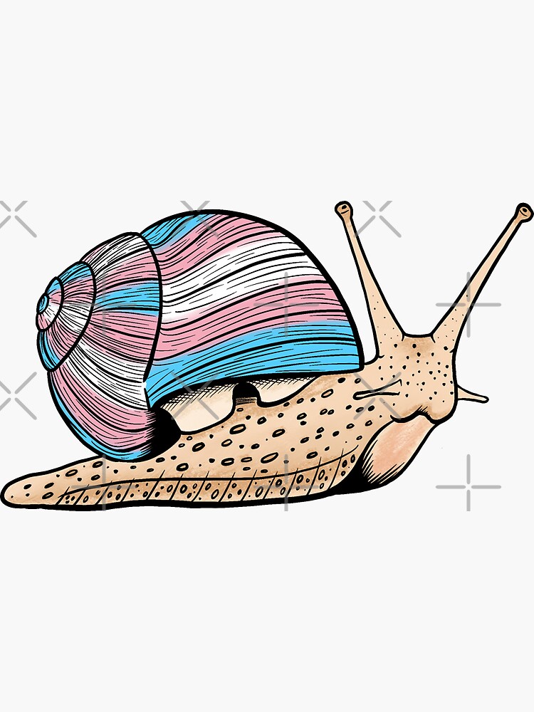 "Trans Pride Snail" Sticker for Sale by NightCritter | Redbubble