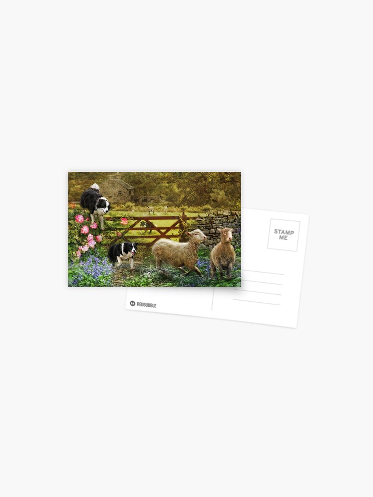 "Collecting The Strays" Postcard for Sale by Trudi's Images | Redbubble