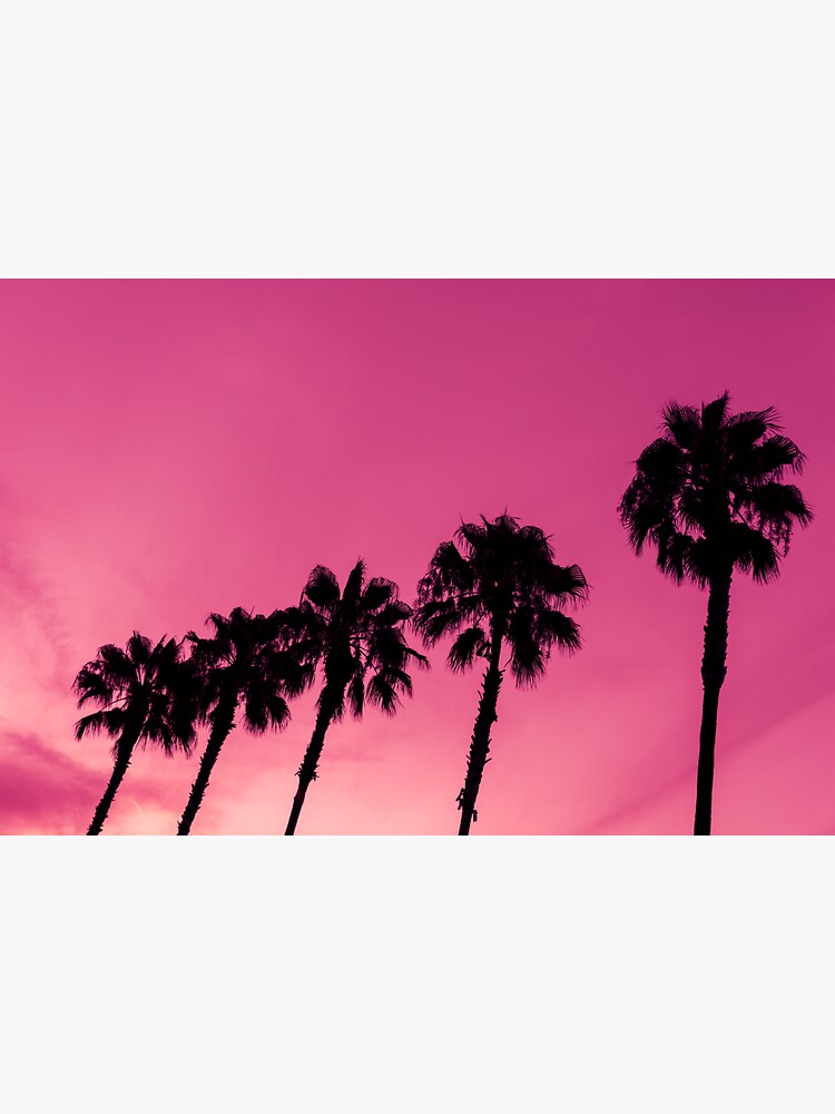 "Pink Palm Trees" Sticker for Sale by Evans-Visuals | Redbubble