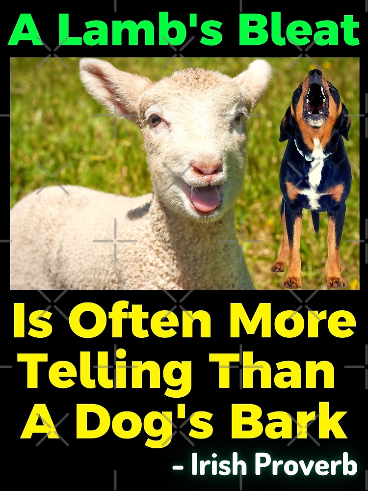 "Irish Proverb - A Lamb's Bleat Is Often More Telling Than A Dog's Bark ...