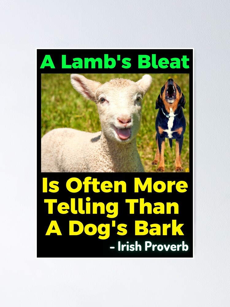 "Irish Proverb - A Lamb's Bleat Is Often More Telling Than A Dog's Bark ...