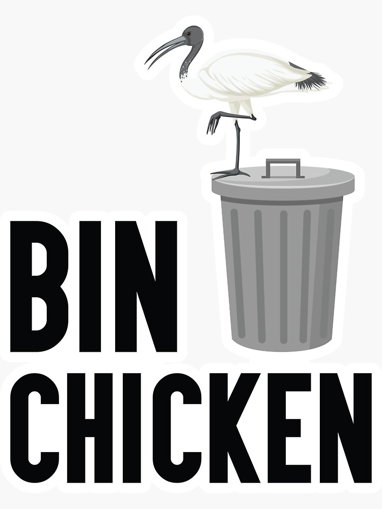 Bin Chicken Meme at Kai Chuter blog