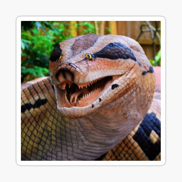 "AnacondA will hunt you | Wild Life - Animal" Sticker for Sale by ...