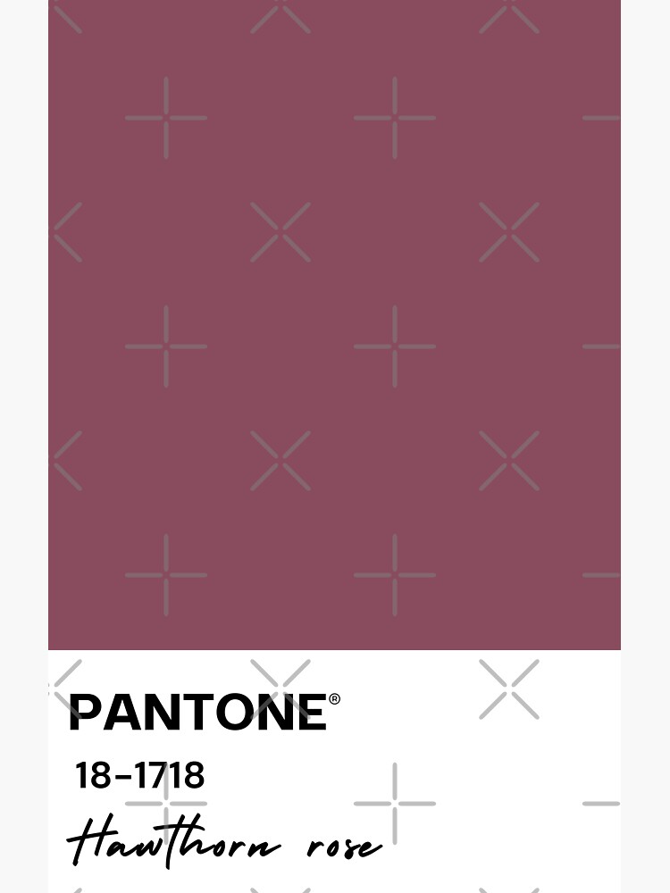 "Hawthorn rose - Color of the year" Sticker for Sale by DesignNomadSE ...