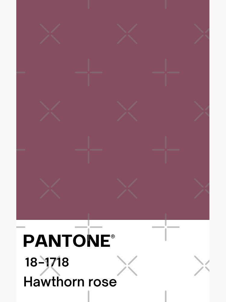 "Pantone-Hawthorne rose" Poster for Sale by DesignNomadSE | Redbubble