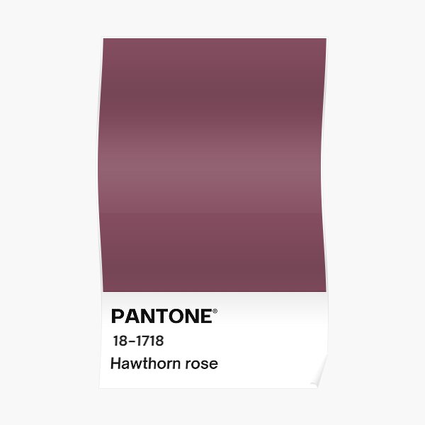 "Pantone-Hawthorne rose" Poster for Sale by DesignNomadSE | Redbubble