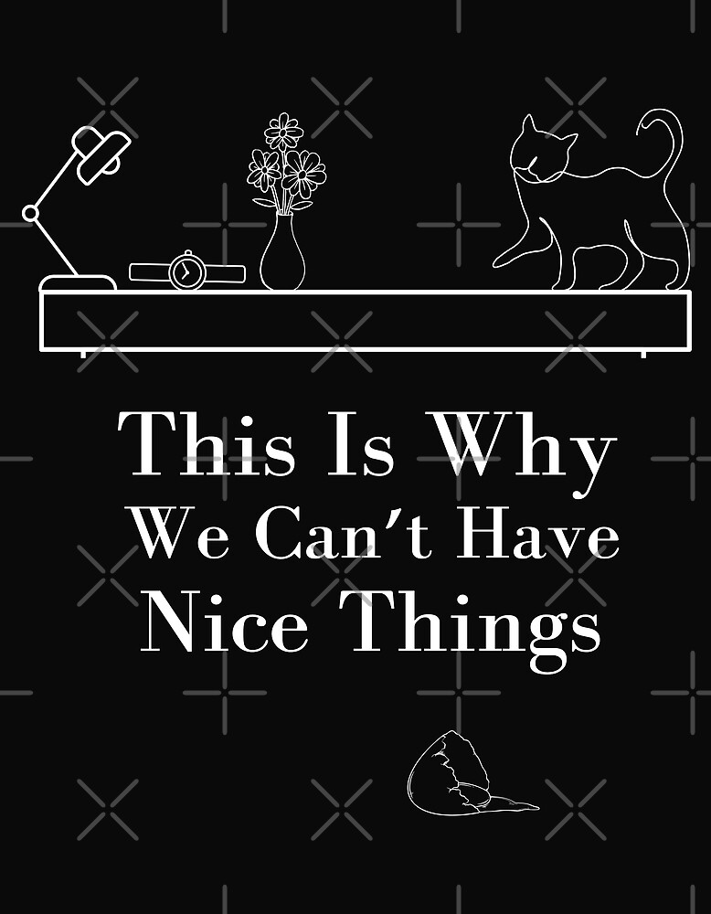 "This Is Why We Can't Have Nice Things" by ibrahimpop | Redbubble