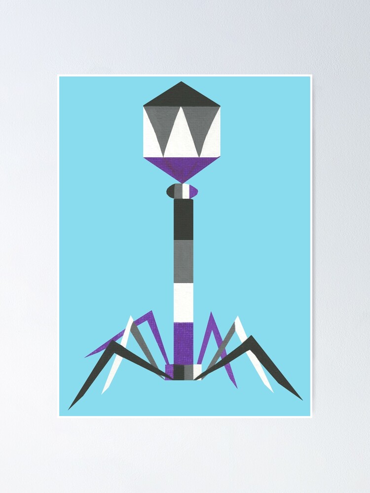 "Asexual Pride Bacteriophage" Poster for Sale by PridePhages | Redbubble