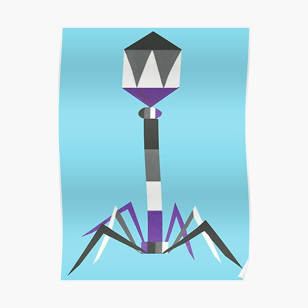 "Asexual Pride Bacteriophage" Poster for Sale by PridePhages | Redbubble