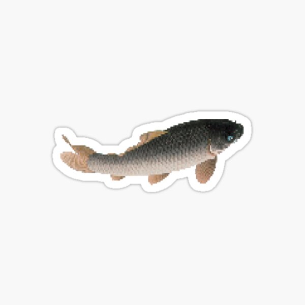 "Carp Fish Pixel Art Design" Sticker for Sale by Marriannaa | Redbubble