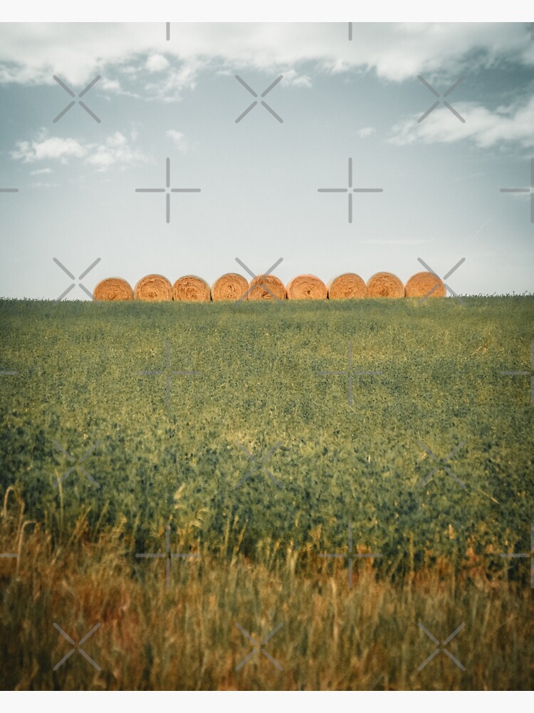 "Hay bales in Val d'Orcia" Sticker for Sale by LucaRamble | Redbubble