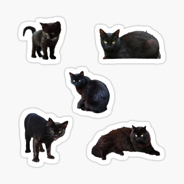 "Black Cats Set" Sticker for Sale by Kawaii-Cuteness | Redbubble