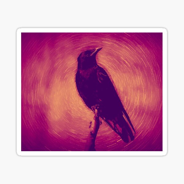 "Crow ." Sticker for Sale by 4t4design | Redbubble