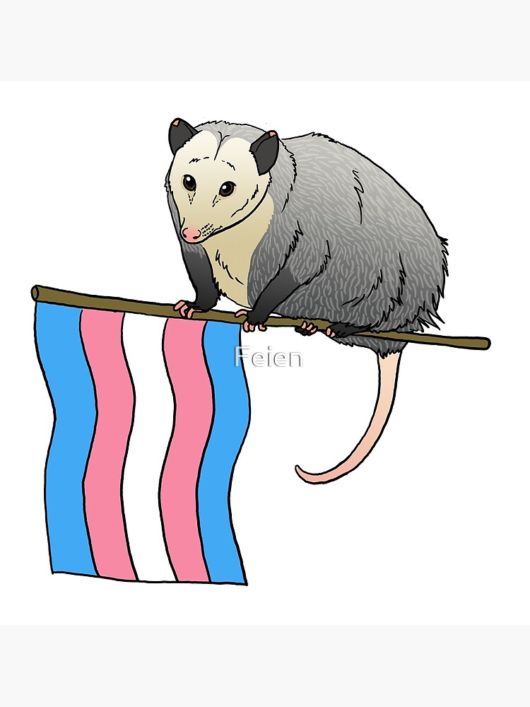 "Trans Pride Opossum" Poster for Sale by Feien | Redbubble