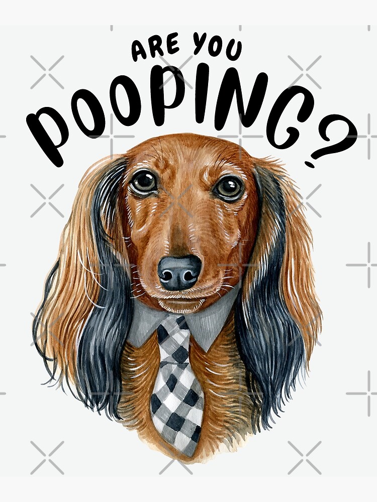 "Are You Pooping Bathroom Print | Funny Wiener Dog | Dachshund ...
