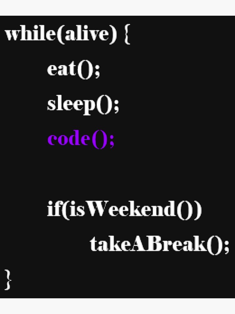 While Alive Eat Sleep Code If Its Weekend Take A Break For Programmer Developer Coder