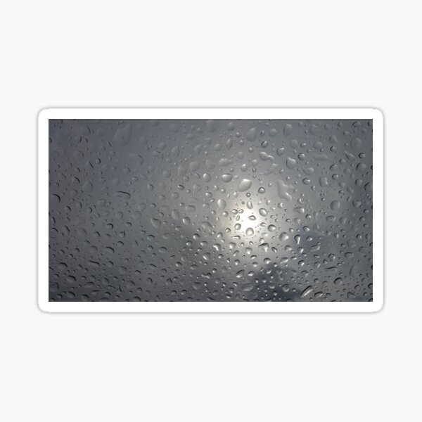 "Window Full of Raindrops" Sticker for Sale by MinaBohl | Redbubble