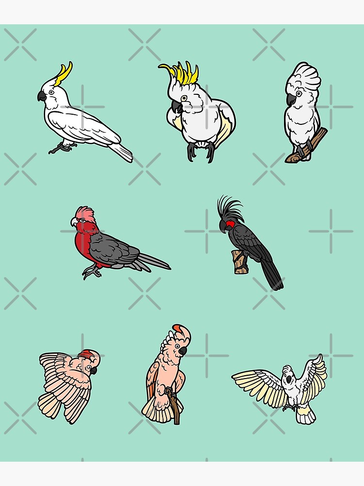 "cockatoo sticker pack" Poster for Sale by Animster | Redbubble