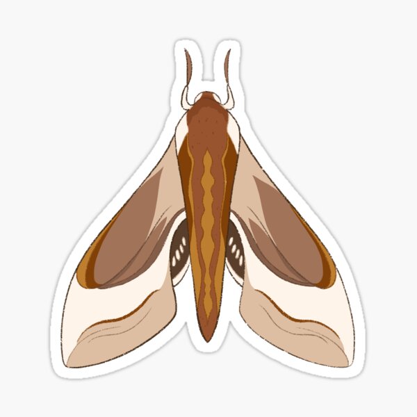 "Light Academia Aesthetic Tersa Sphinx Moth Sticker" Sticker for Sale ...