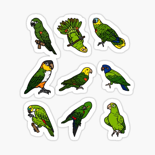 "parrots sticker set" Sticker for Sale by Animster | Redbubble