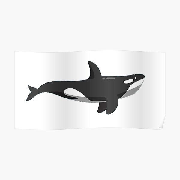 "Killer Whale/Orca" Poster for Sale by Lil-Bit-Batty | Redbubble