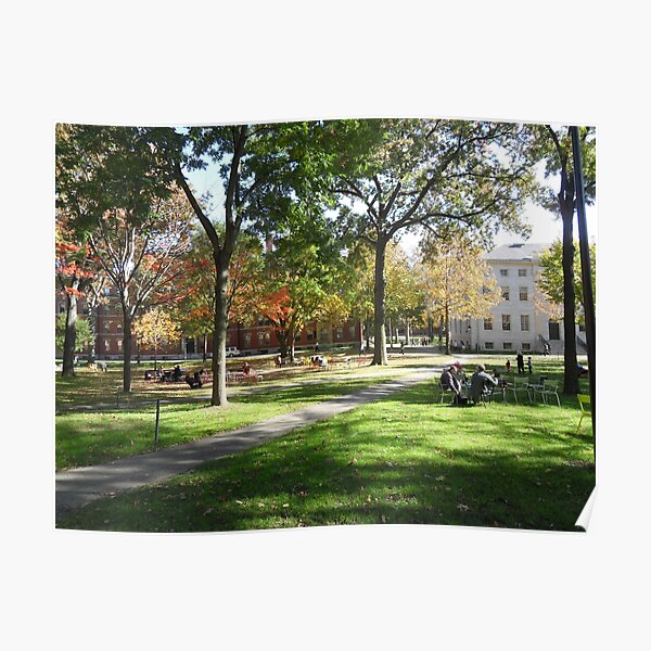Harvard University Wall Art | Redbubble