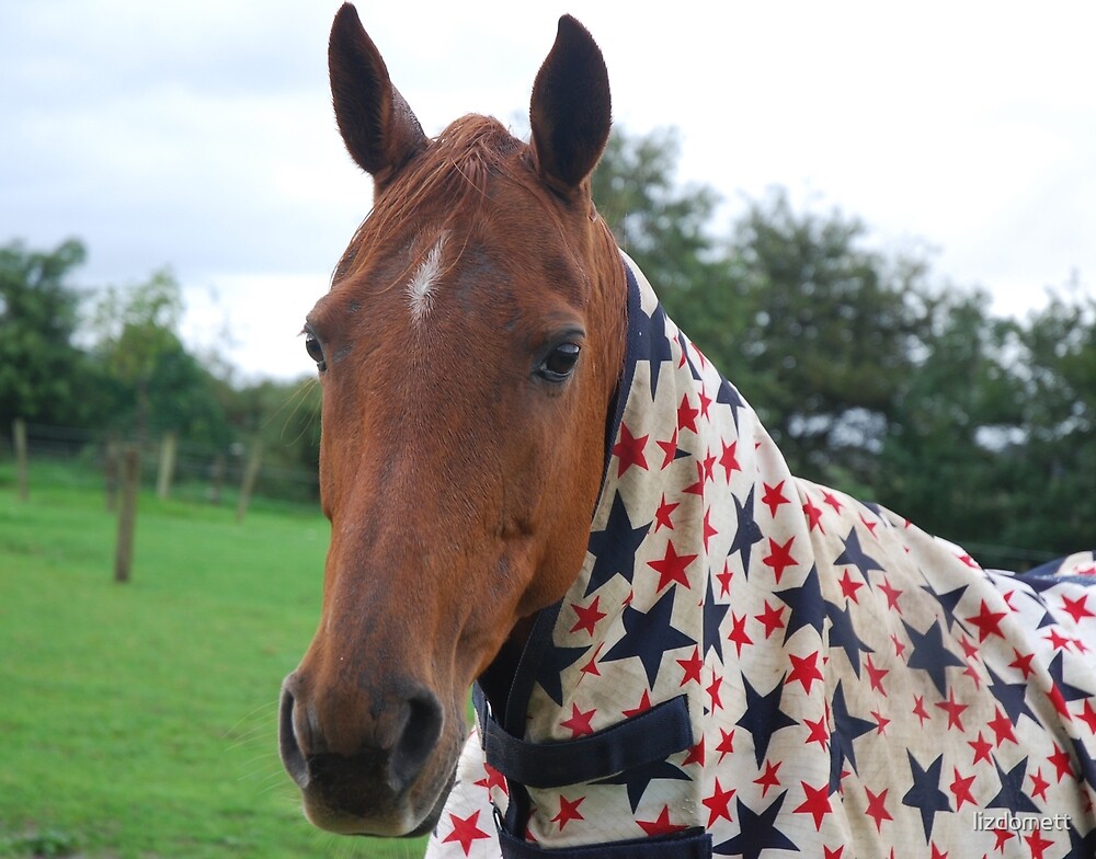 "All rugged up" by lizdomett | Redbubble