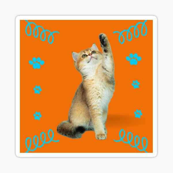"Curious Cat" Sticker for Sale by SamBai | Redbubble