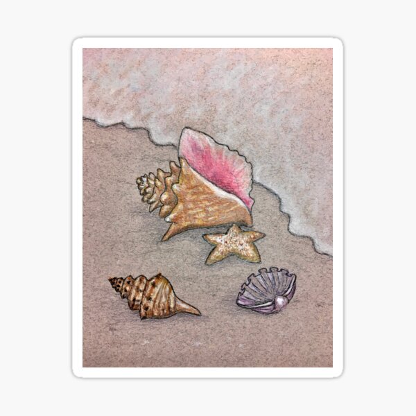 "Seashells on beach" Sticker for Sale by SageJohansson | Redbubble