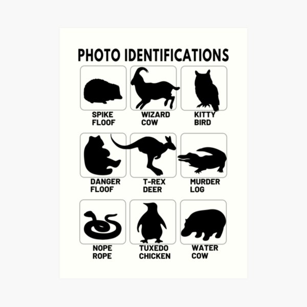"Animal Alternate Names Photo Identification Funny Labels" Art Print ...