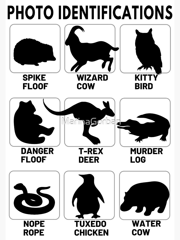 "Animal Alternate Names Photo Identification Funny Labels" Art Print ...