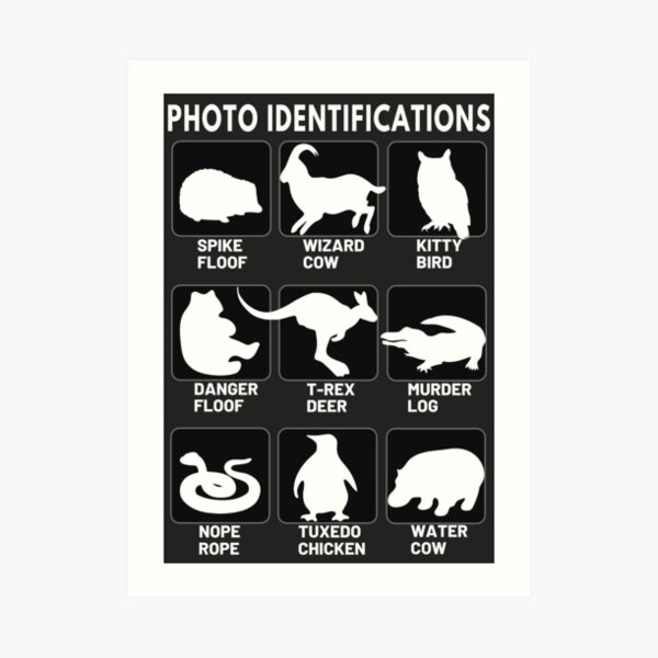 "Alternate Animal Names Photo Identification Funny Labels" Art Print ...