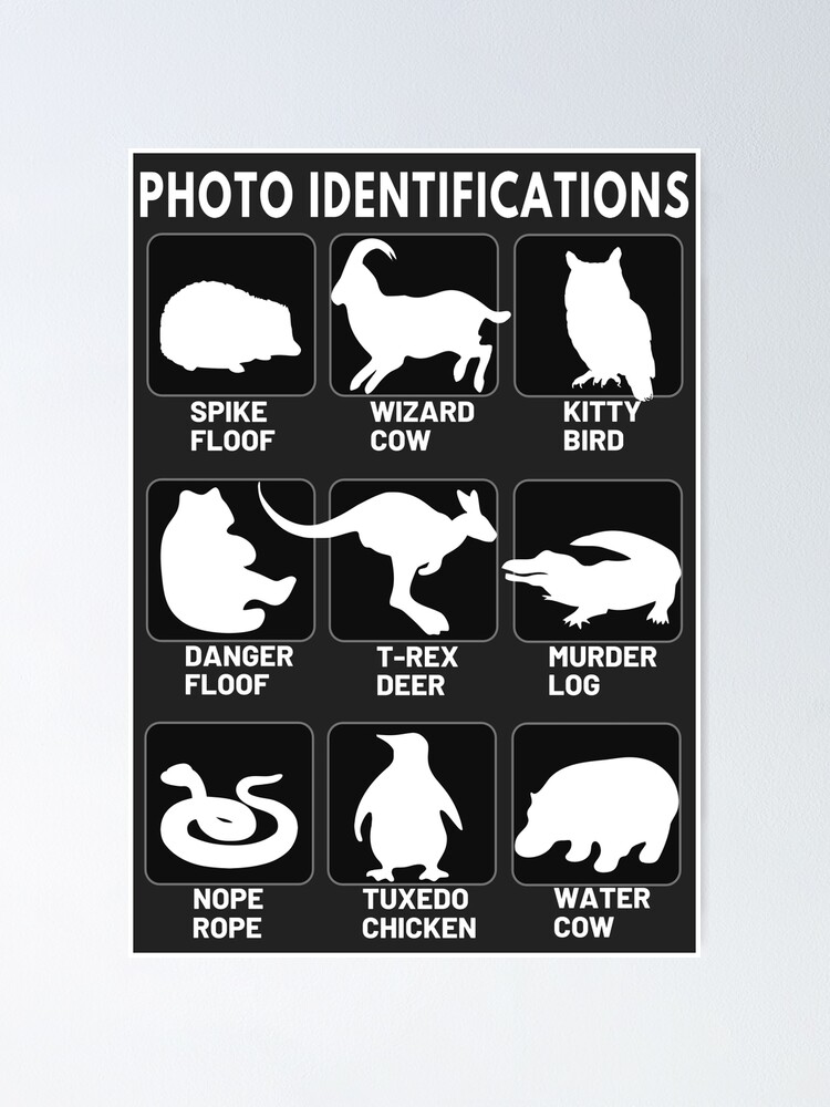 "Alternate Animal Names Photo Identification Funny Labels" Poster for ...