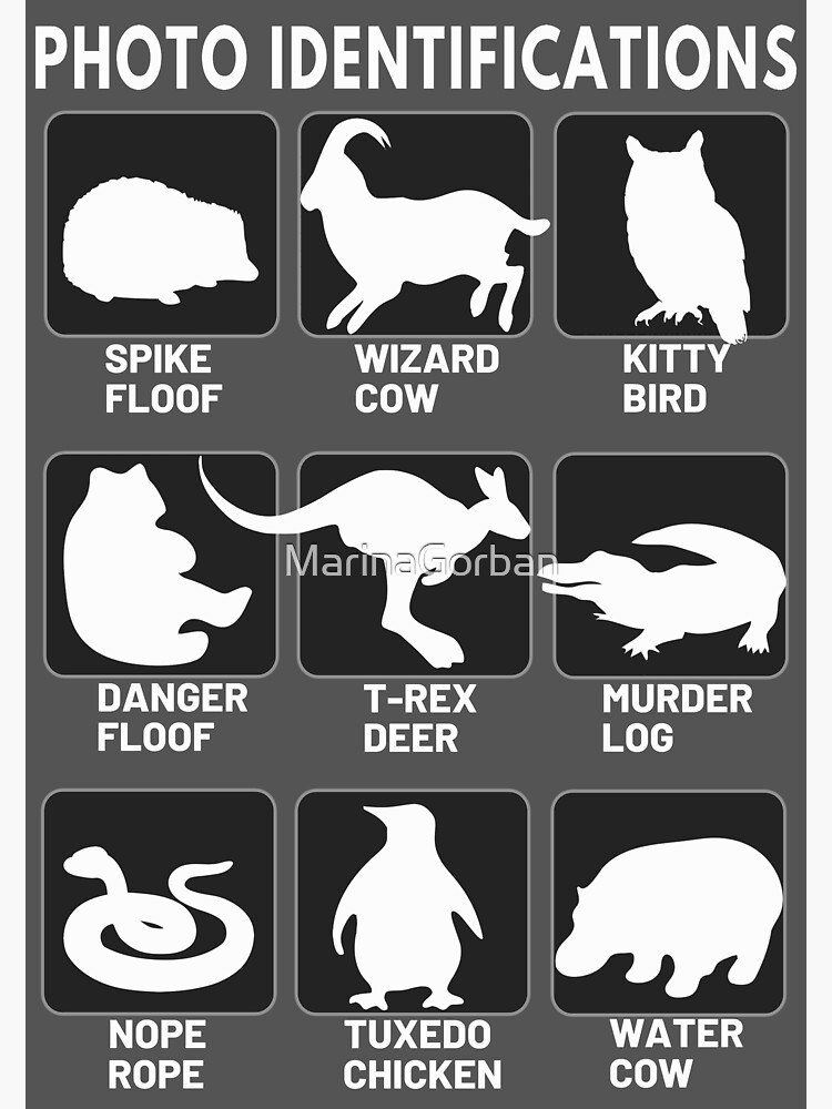 "Alternate Animal Names Photo Identification Funny Labels" Sticker for ...