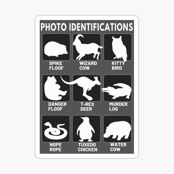 "Alternate Animal Names Photo Identification Funny Labels" Sticker for ...