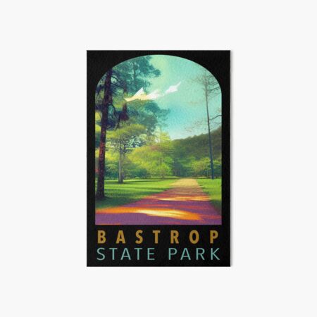 "Bastrop State Park Texas" Art Board Print for Sale by CattlettArt ...