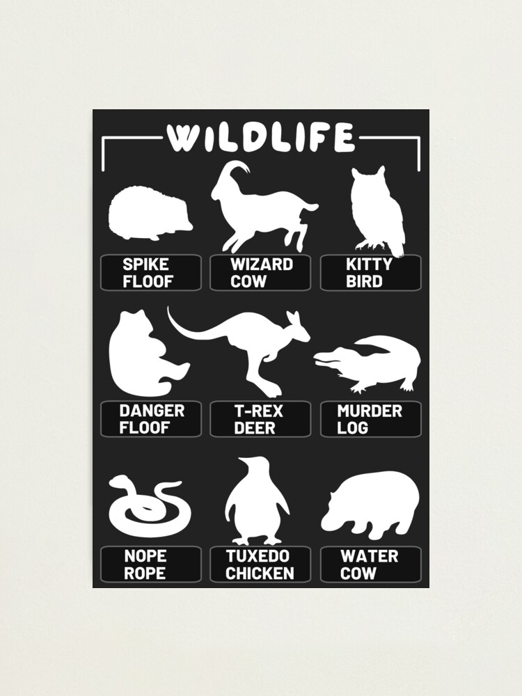 "Alternate Animal Names Photo Identification Funny Labels" Photographic ...