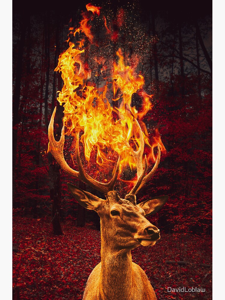 "Fire Deer" Sticker for Sale by DavidLoblaw | Redbubble