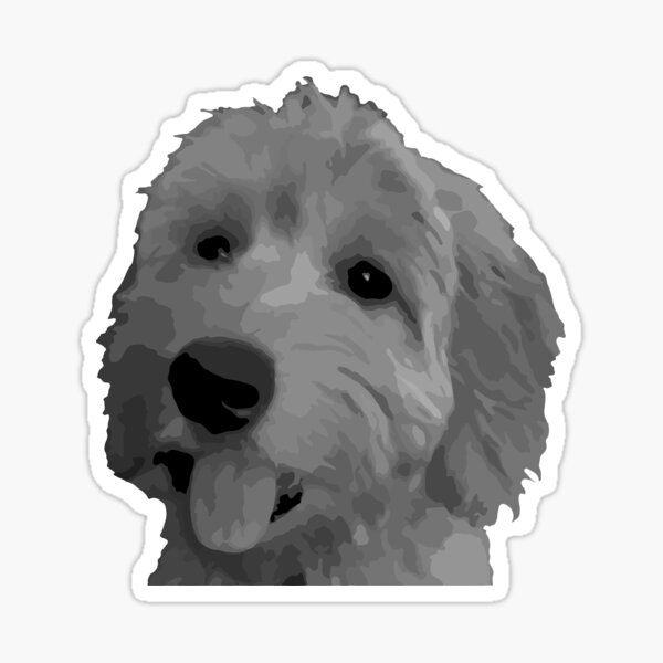 "Goldendoodle Puppy Dog - Golden Doodle Sticker" Sticker by efdesigns ...