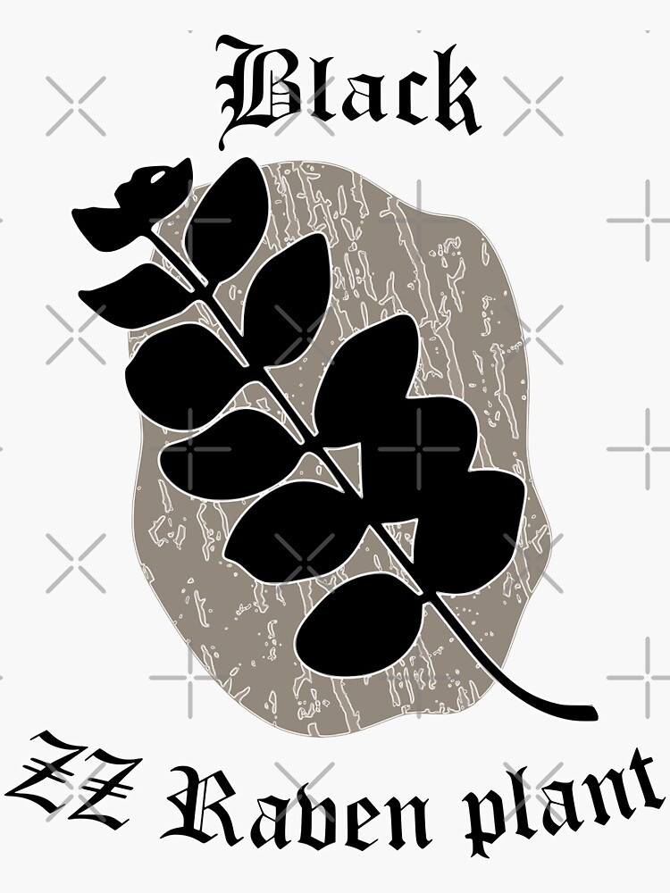 "Black zz raven plant drawing (Zamioculcas) – Gothic plant" Sticker for ...