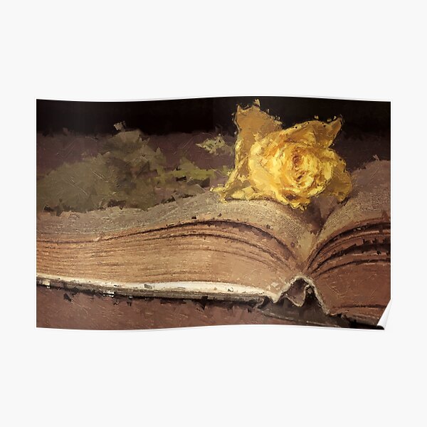 "Open Book" Poster for Sale by werdantem | Redbubble