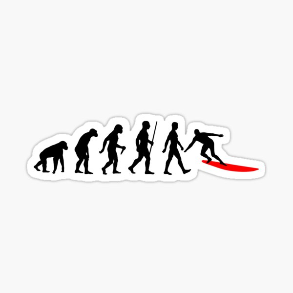 "surf evolution" Sticker for Sale by texta-designs | Redbubble